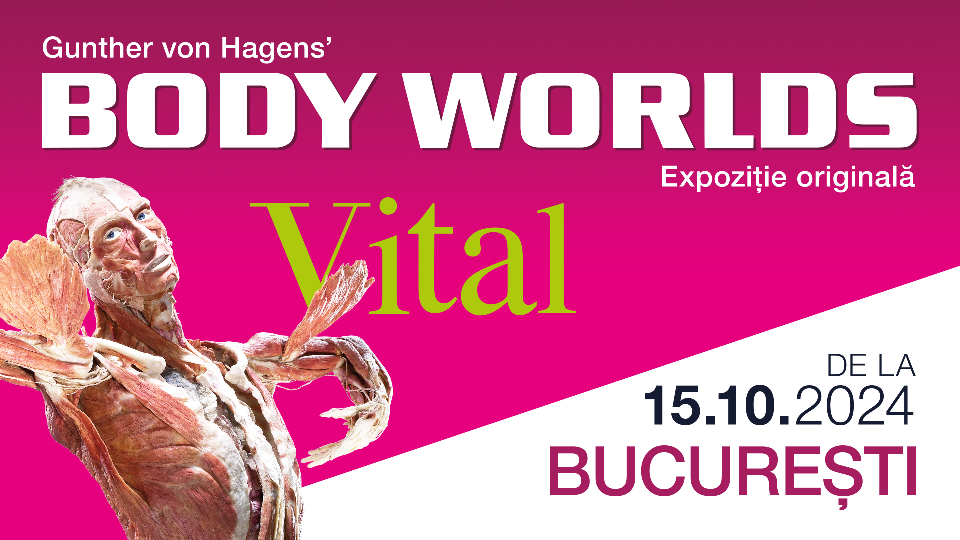 Biblioteca Naţională a României găzduieşte expoziția originală BODY ...